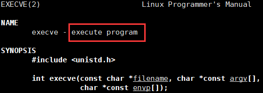 Linux_进程控制_interrupted system call-CSDN博客