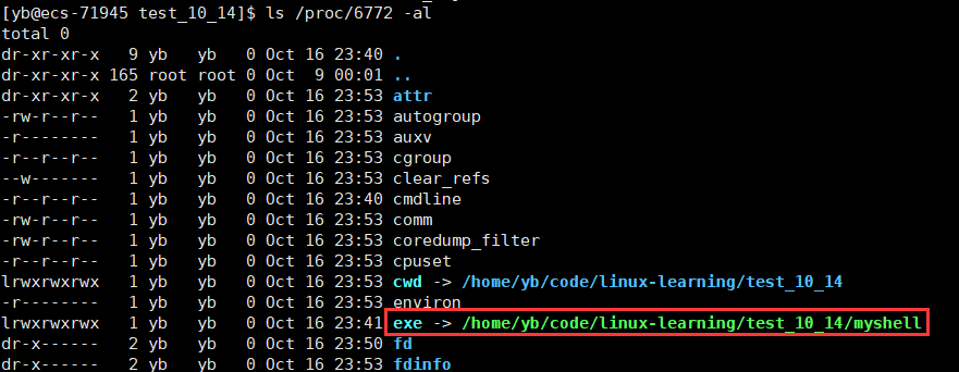 Linux_进程控制_interrupted system call-CSDN博客